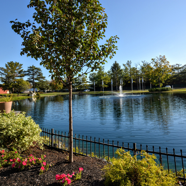 Apartments For Rent In Menands | Albany Lofts at One Broadway | Amenities